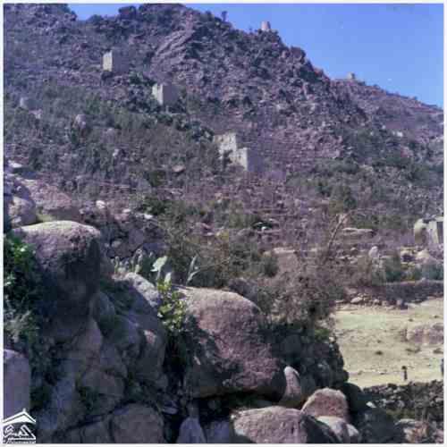 الألبوم رقم 11 صور قديمه ونادره لمدينة تعز منذ خمسينيات القرن الماضي